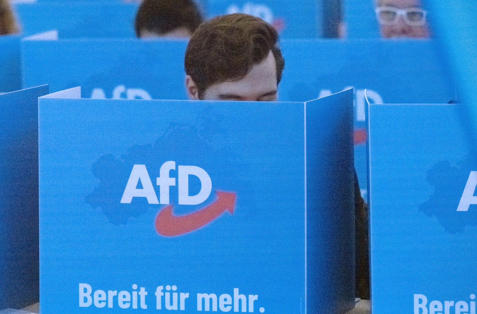 Half of voters back working with AfD ahead of German state election