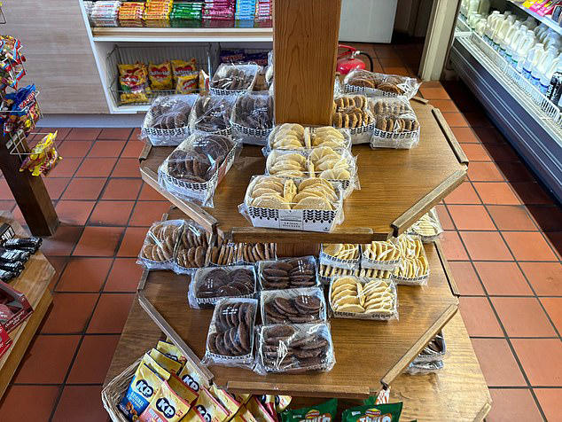 Inside Britain's poshest petrol station serving up ice cream milkshakes ...