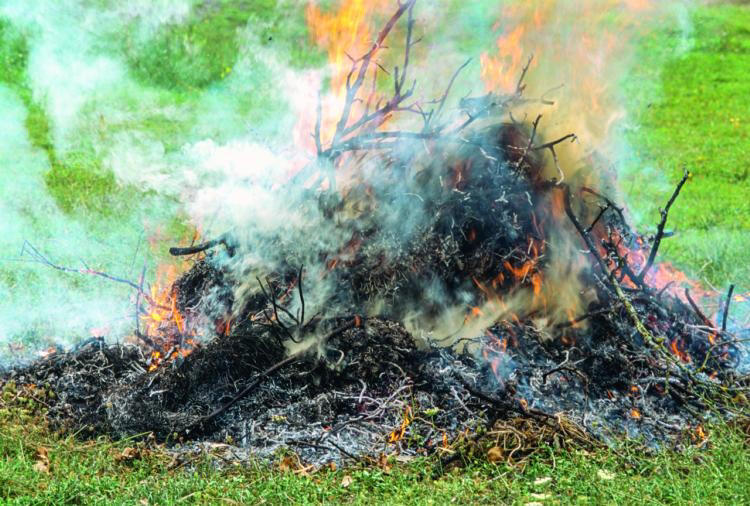 Peut-on brûler ses déchets verts ? Obliger un voisin à élaguer un arbre ...