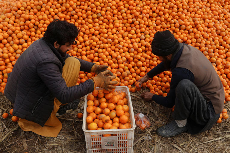 At Pakistan’s Afghan border, a trade shutdown empties markets