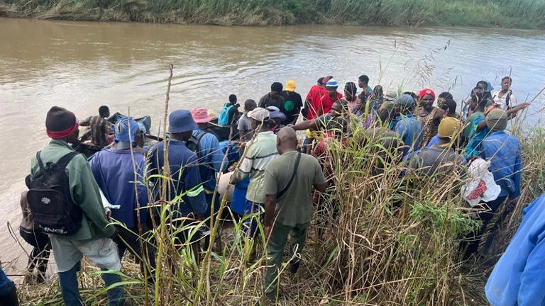 Two drown in KwaZulu-Natal while attempting to access hippo carcass for ...