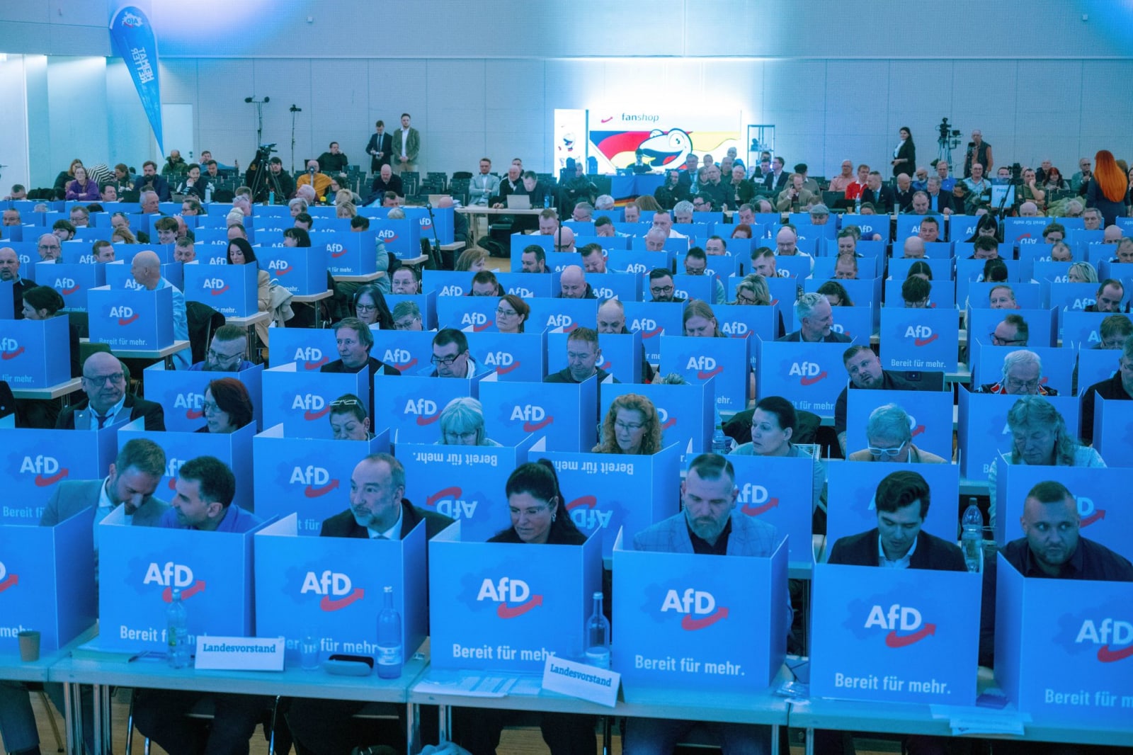 Half of voters back working with AfD ahead of German state election
