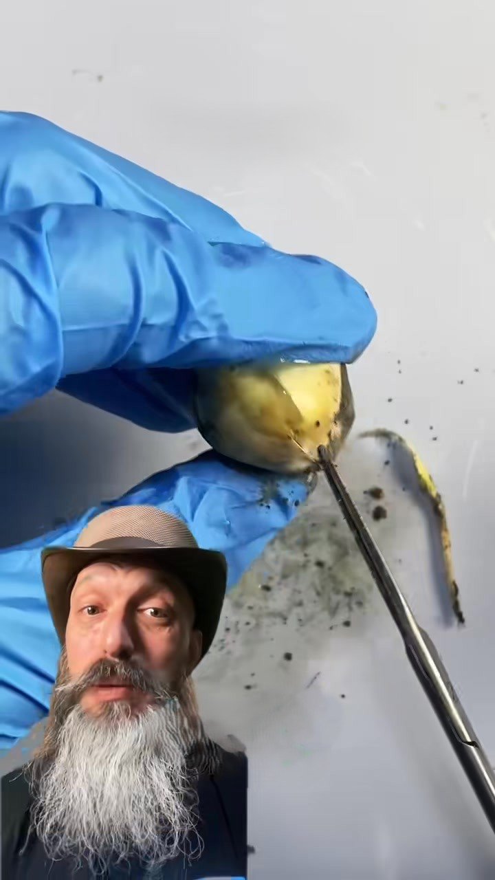 Opening up this bad egg!