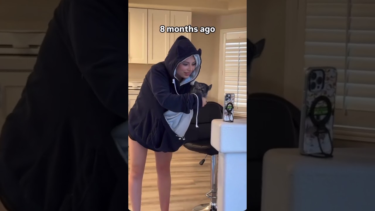 Tiny feline transforms into mischievous adult before our eyes
