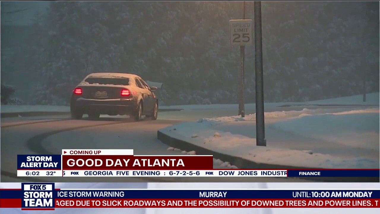 Tree cleared after falling during ice storm