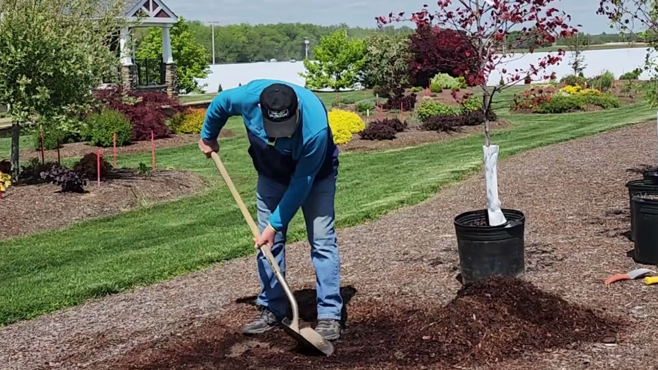 9 everyday habits of people who stay fit without working out much