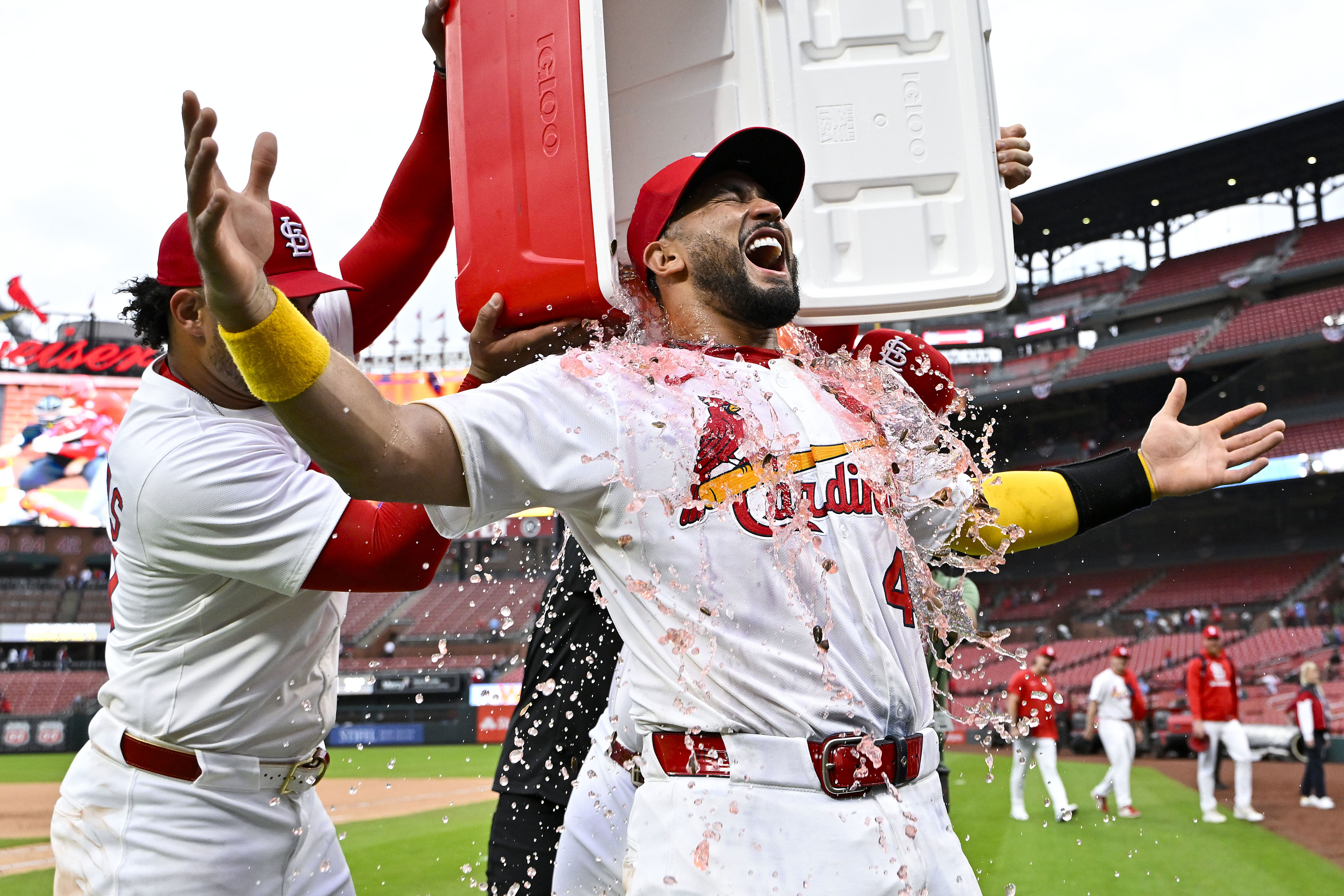 Checking in on the current Cardinals catching contingent