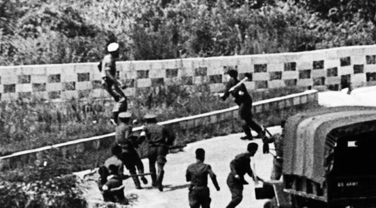 That time the army just had to cut down a Korean tree