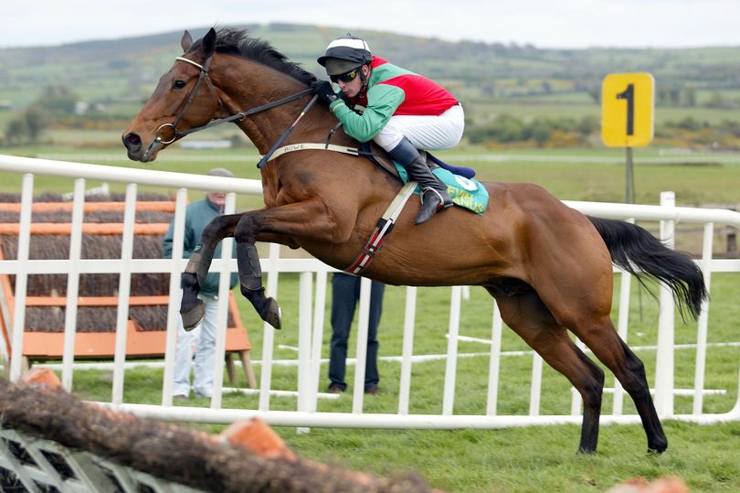 Emotional scenes after fairytale winner of Limestone Lad Hurdle at Naas