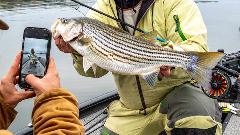 I went to Charlotte for the food—then I found a striped bass fly blitz ...