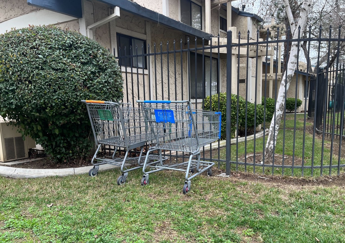 Woodland council revises city ordinance on shopping carts
