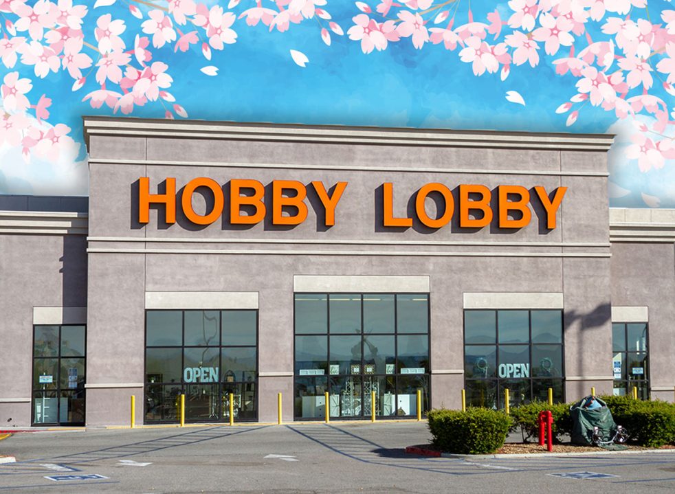 8 Hobby Lobby new arrivals that feel way more expensive