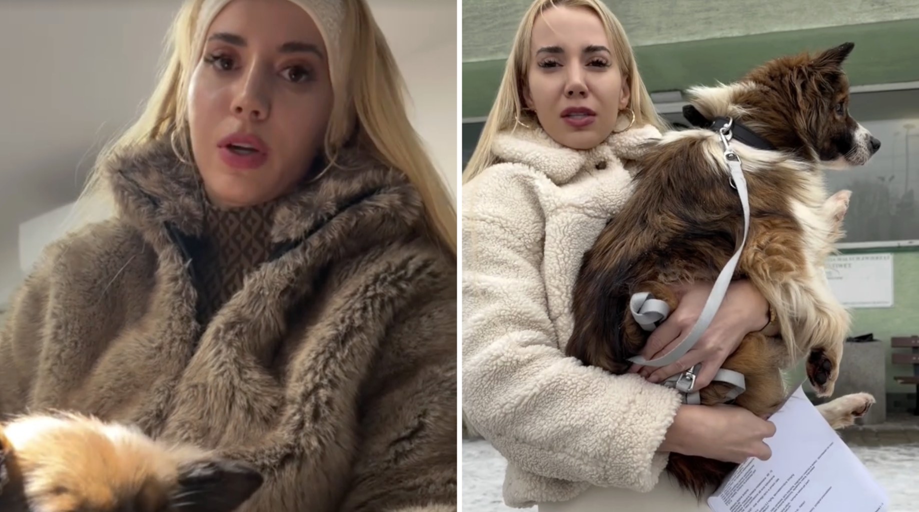 Schreiber przemówiła po zamknięciu schroniska w Sobolewie. Ważny komunikat