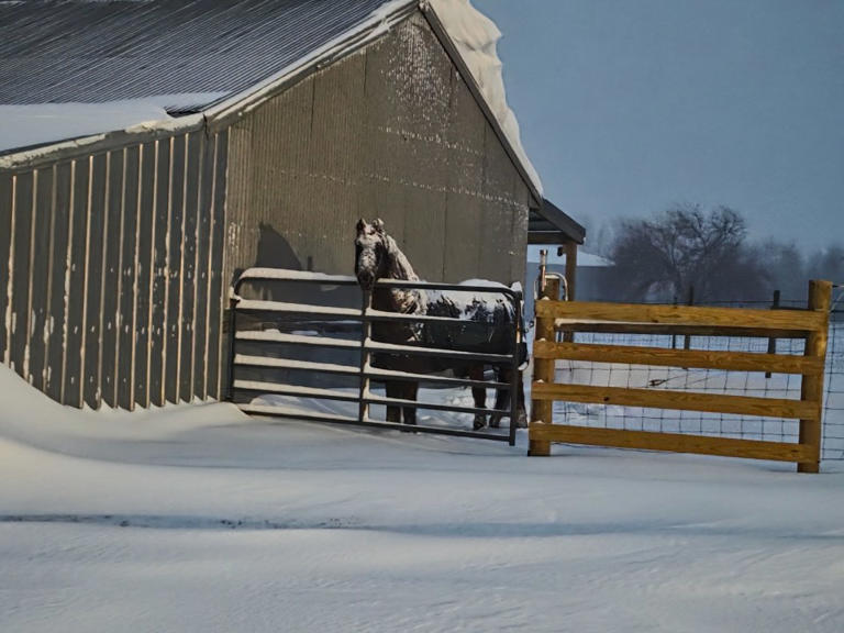Snowstorm in central Ohio: Submit your photos to NBC4