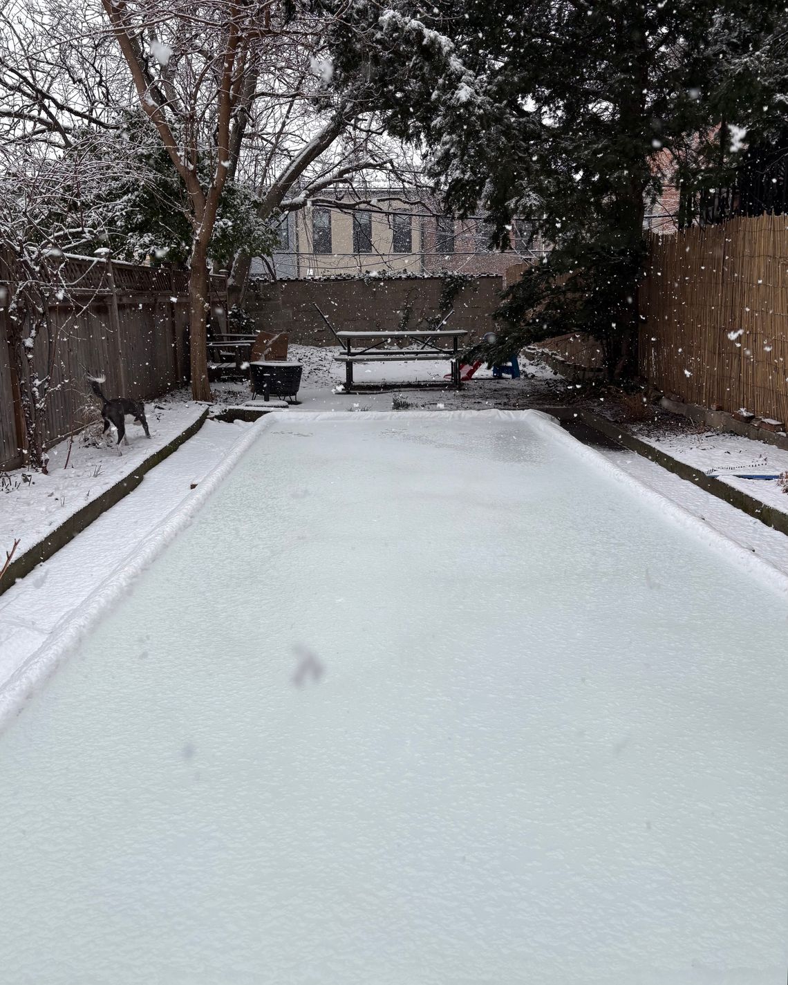 So you want to build an ice rink in your tiny Brooklyn backyard?