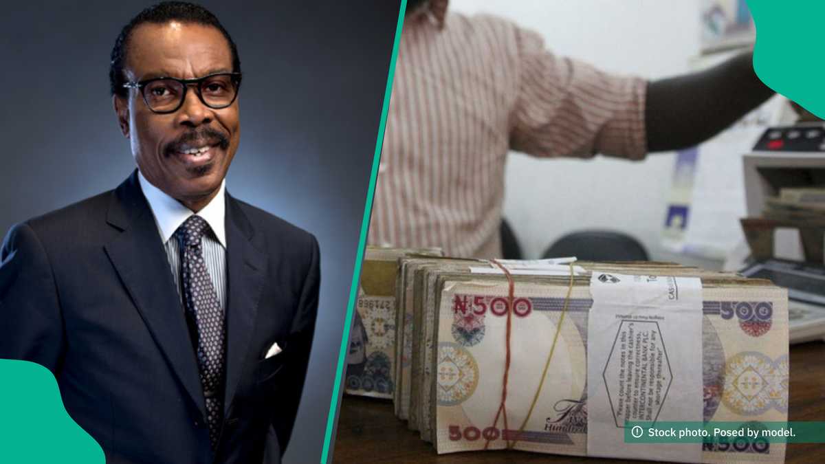 Find out why Bismarck Rewane believes naira is undervalued