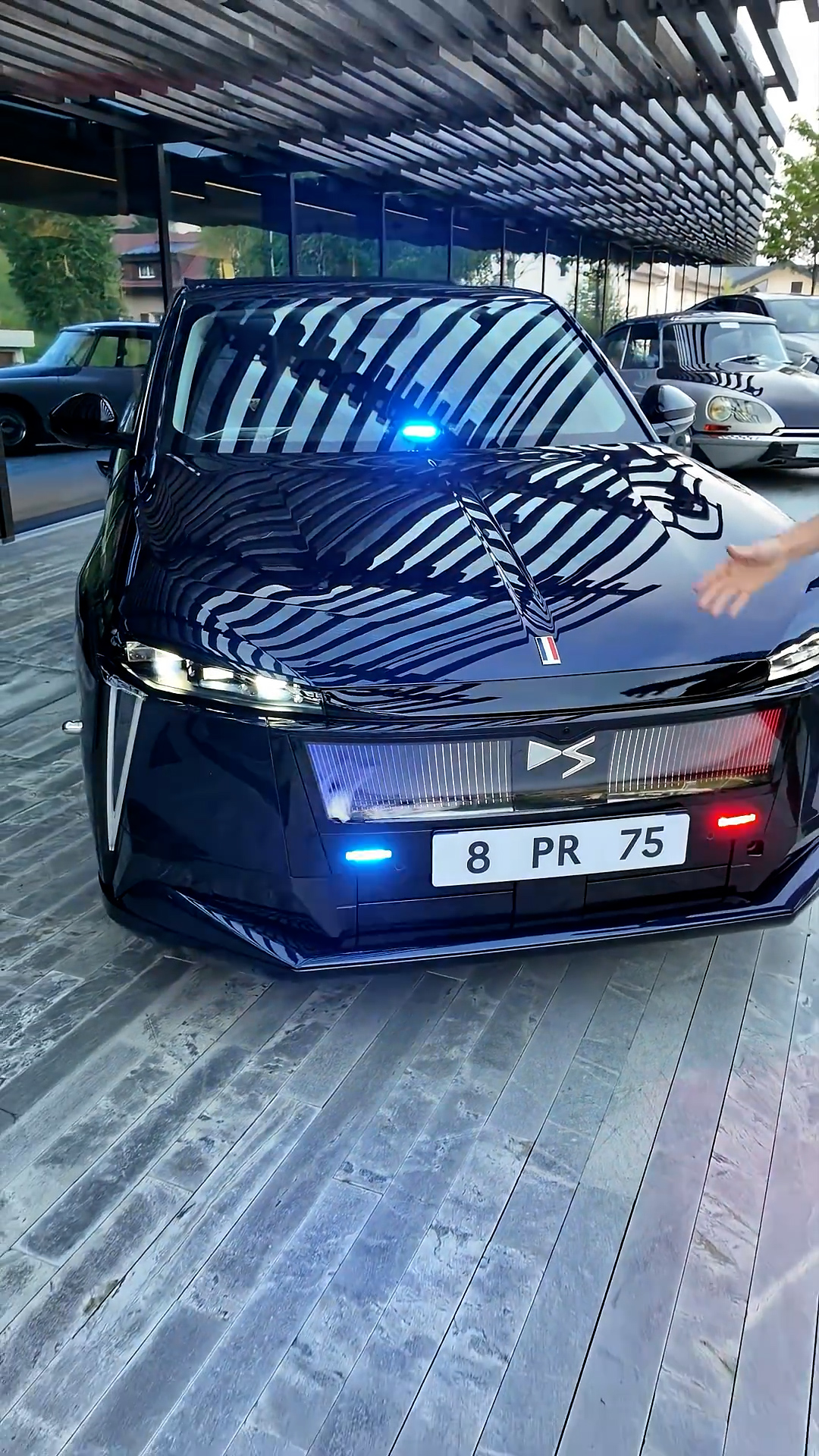 What is the most striking feature of the DS N8?