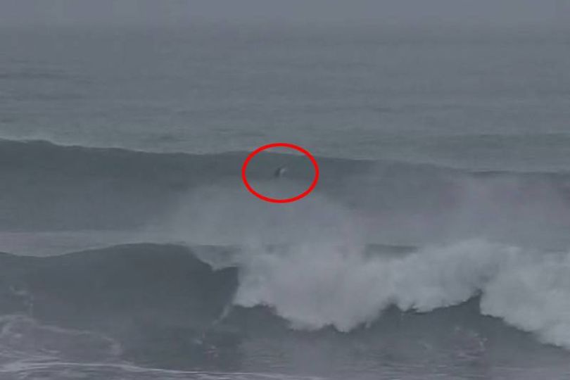 Devon surfer conquers notorious 30ft 'Widow Maker' wave