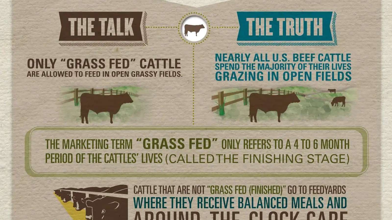 The dark truth about "grass-fed" beef: The legal gray area tricking ...