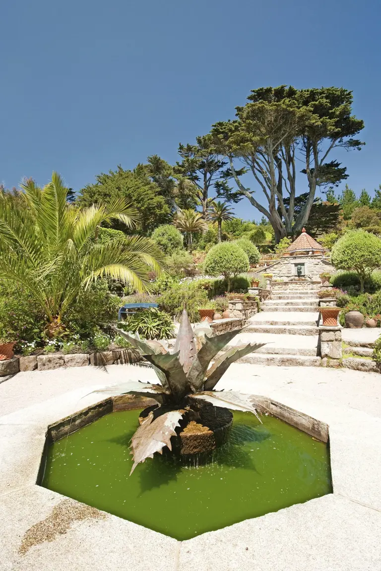 Englands Gärten: Englischer Tropengarten