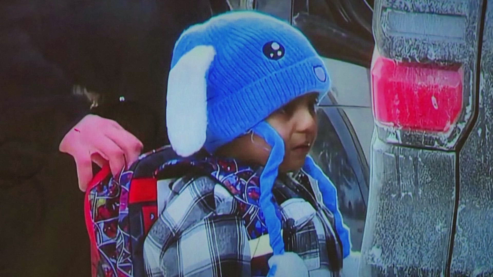 Five-year-old boy detained by ICE in Minnesota