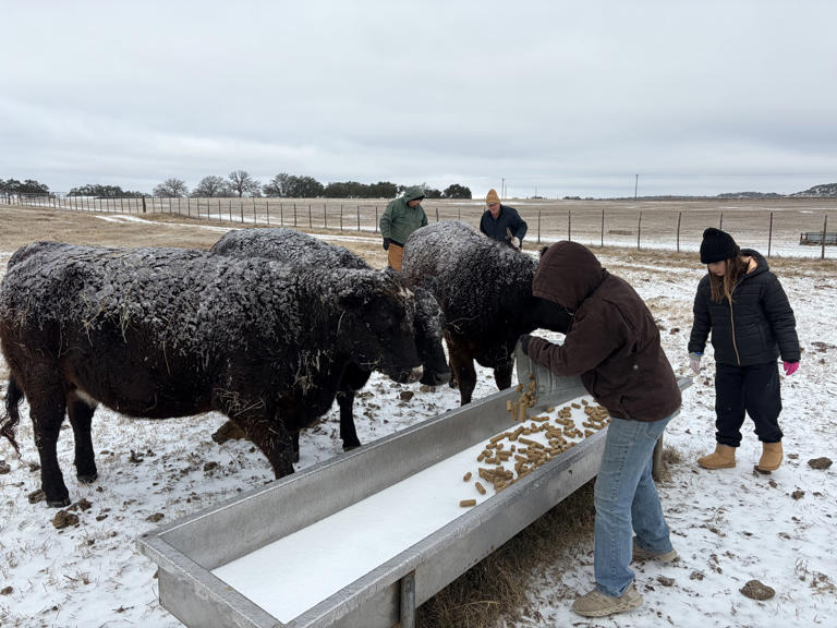 Snow, ice fall on Central Texas, as seen by KXAN viewers