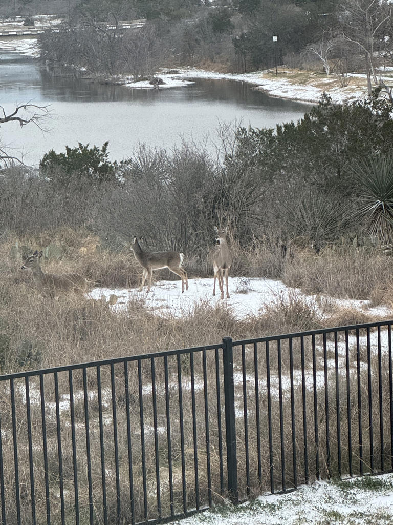 Snow, ice fall on Central Texas, as seen by KXAN viewers