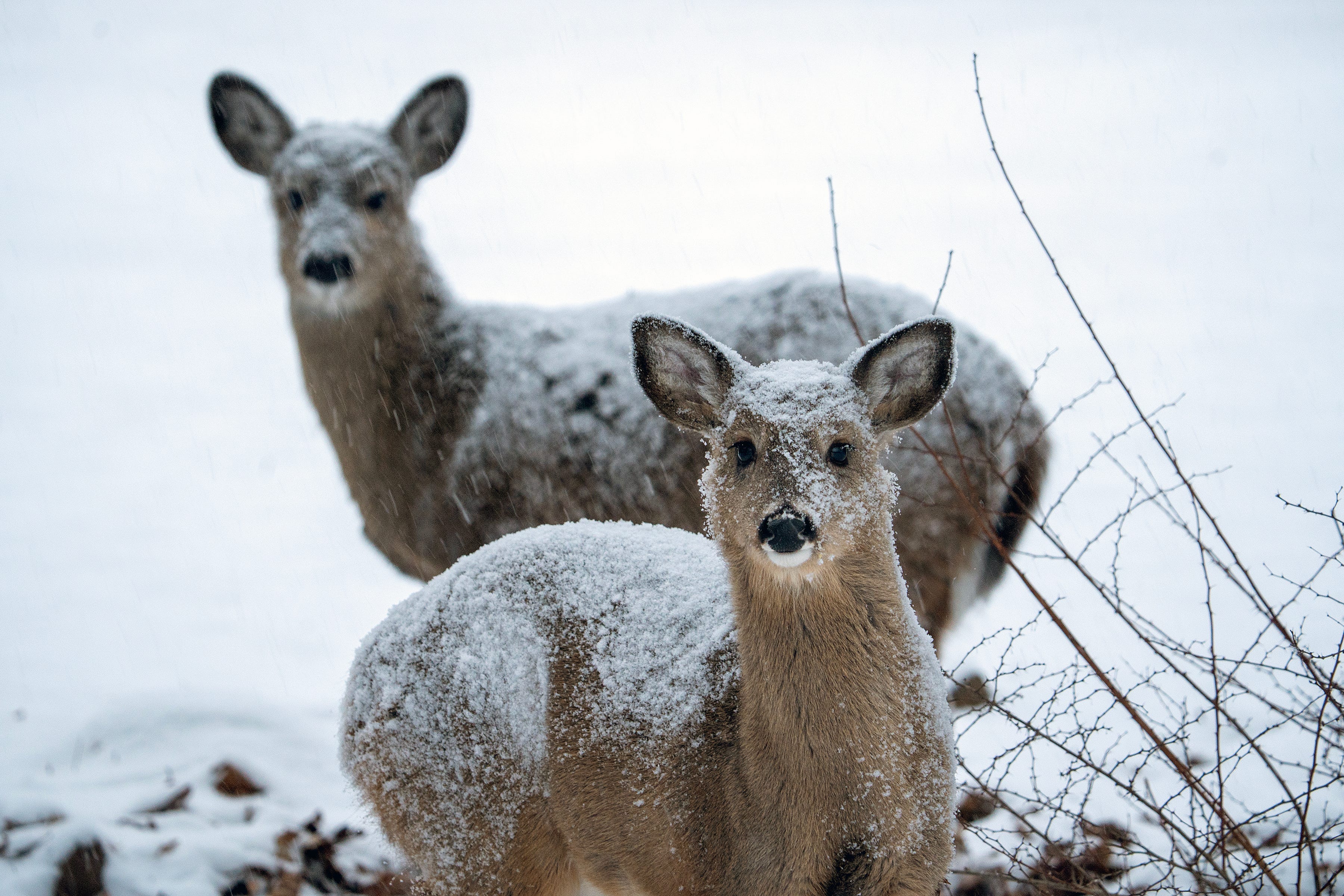 Images of wicked winter storm walloping much of United States