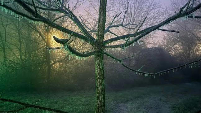 Sunday update: Downed trees, roads closed in Chattanooga viewing area