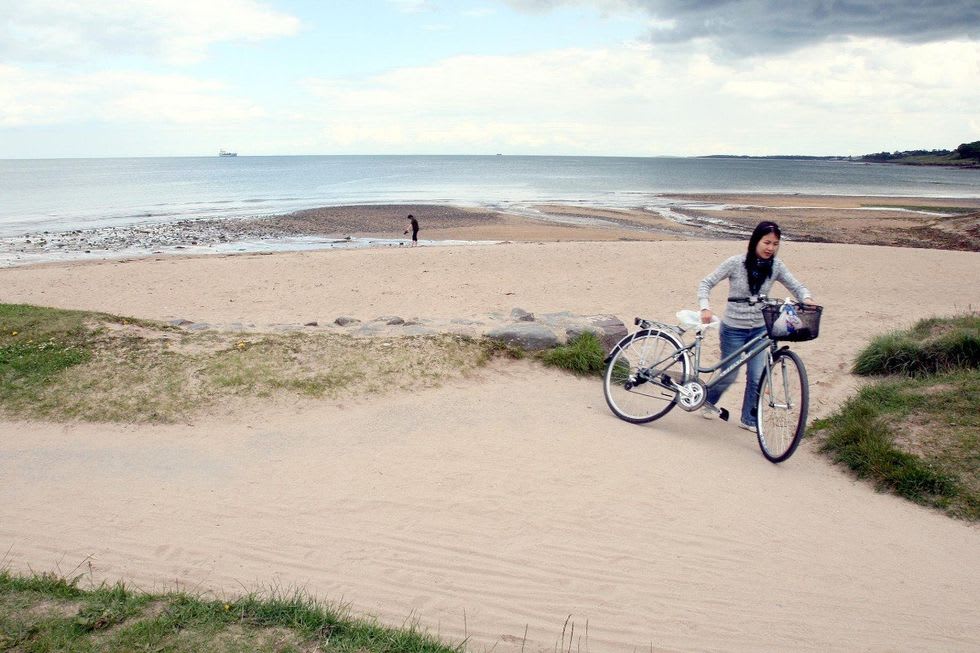 Woman in her 60s dies and two others injured after getting into trouble ...