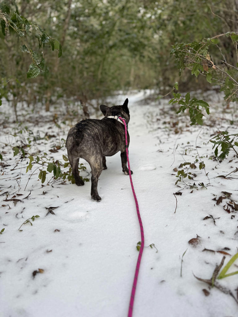 Snow, ice fall on Central Texas, as seen by KXAN viewers