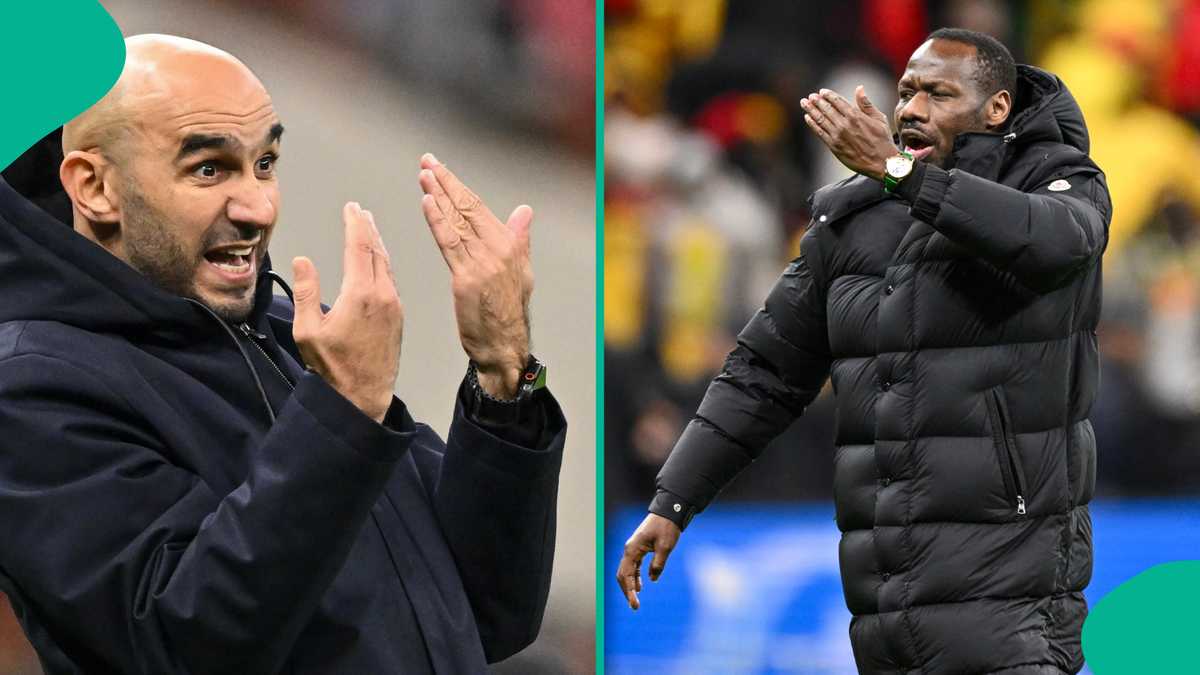 Watch: Video reveals what Pape Thiaw and Walid Regragui said before ...