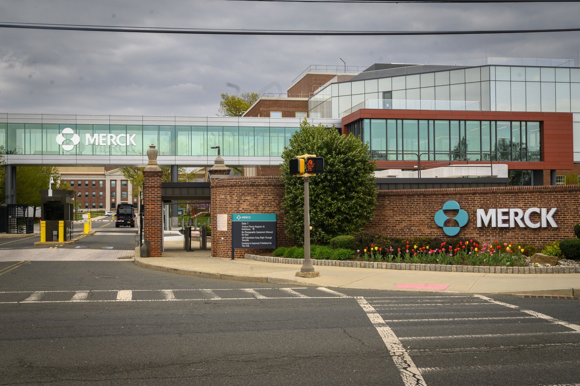 Merck ends talks to buy Revolution Medicines, WSJ reports