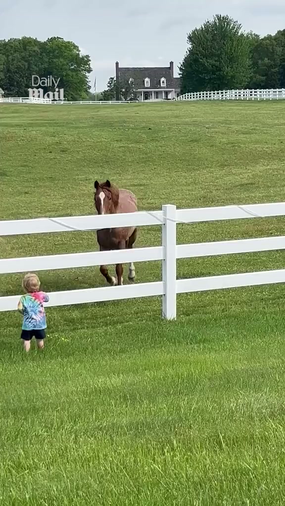 Young boy calls his horses and they eagerly run over