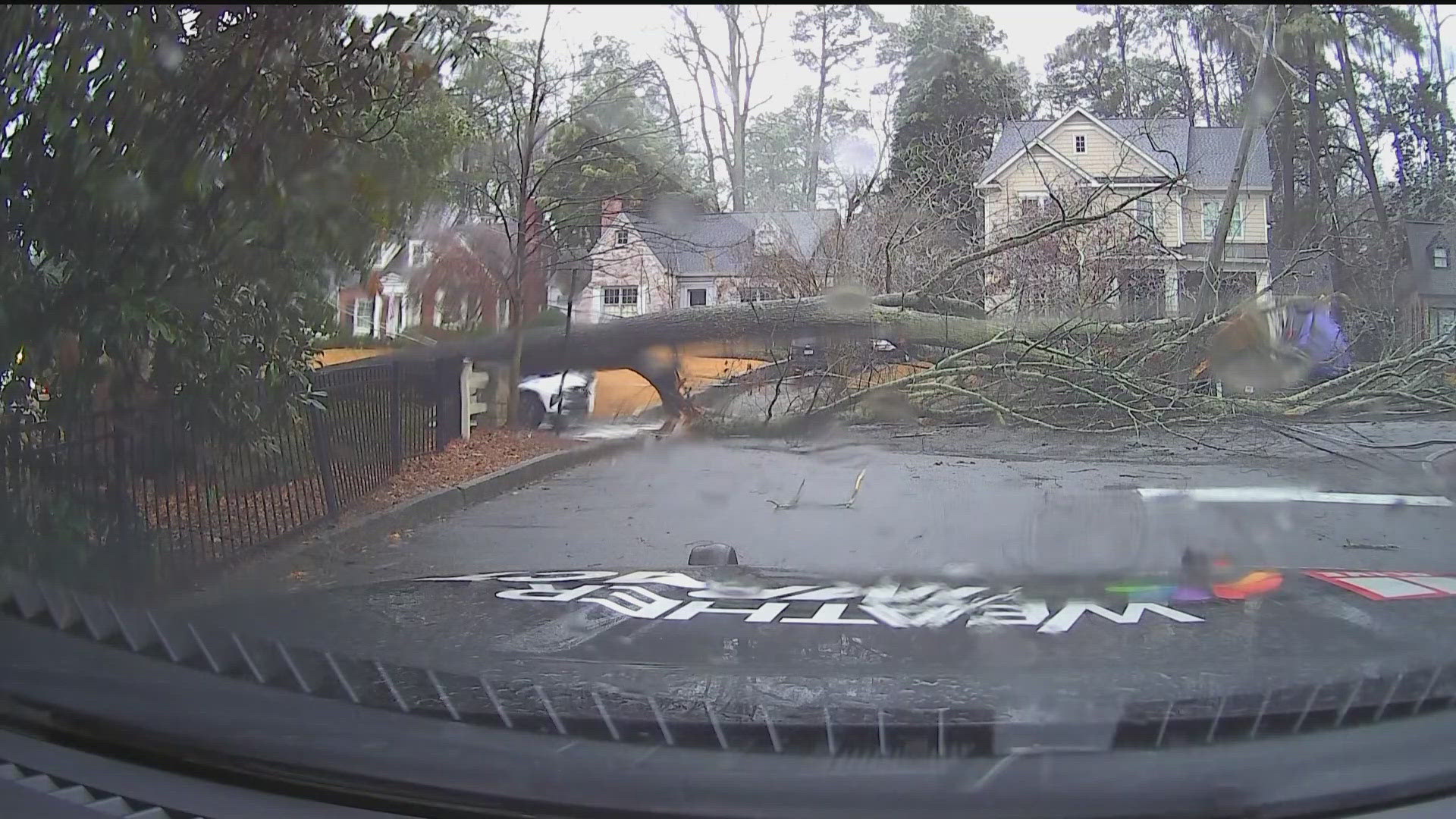 Large tree down in Morningside causes outages