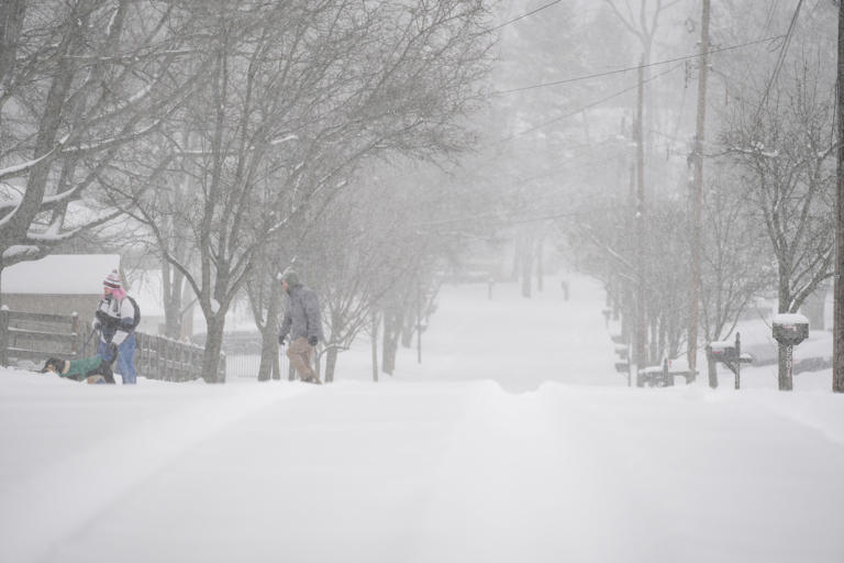 How much snow did your Ohio neighborhood get? Map show totals by address