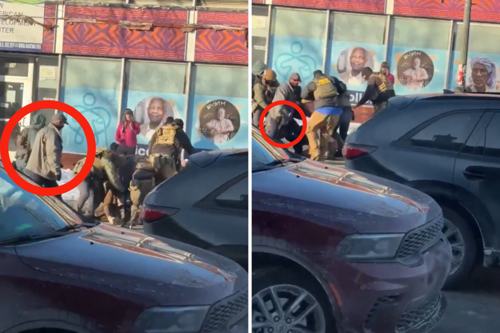 Alex Pretti shooting timeline: Video analysis of federal agents' actions