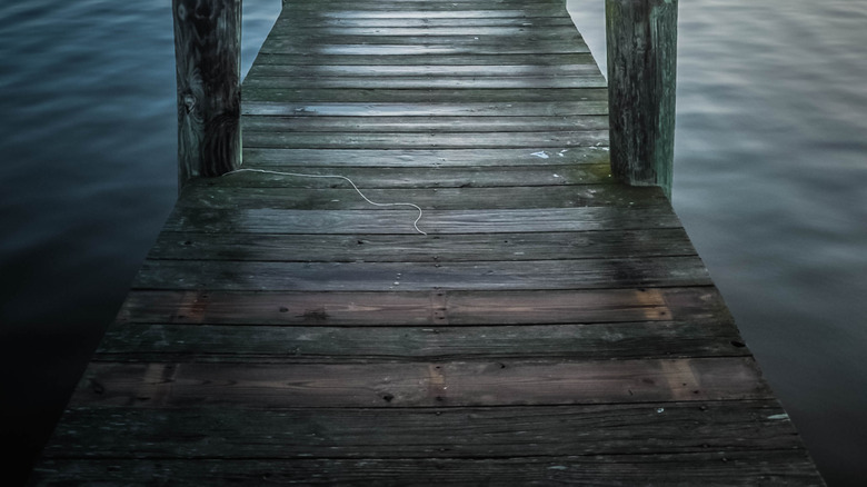 Maryland's under-the-radar Potomac Island is a historic hub to kayak ...