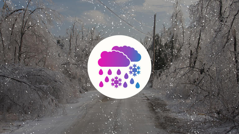 Snow and ice are heavy hazards that can damage trees, roofs