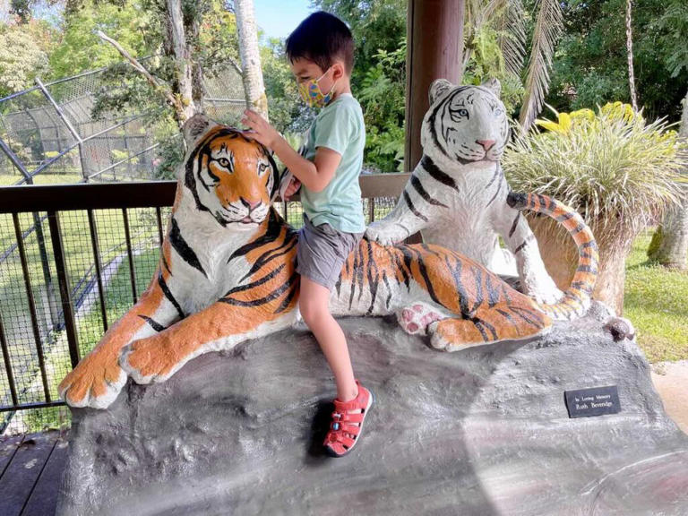 Best things to do in Hilo Hawaii (that aren't another beach stop)