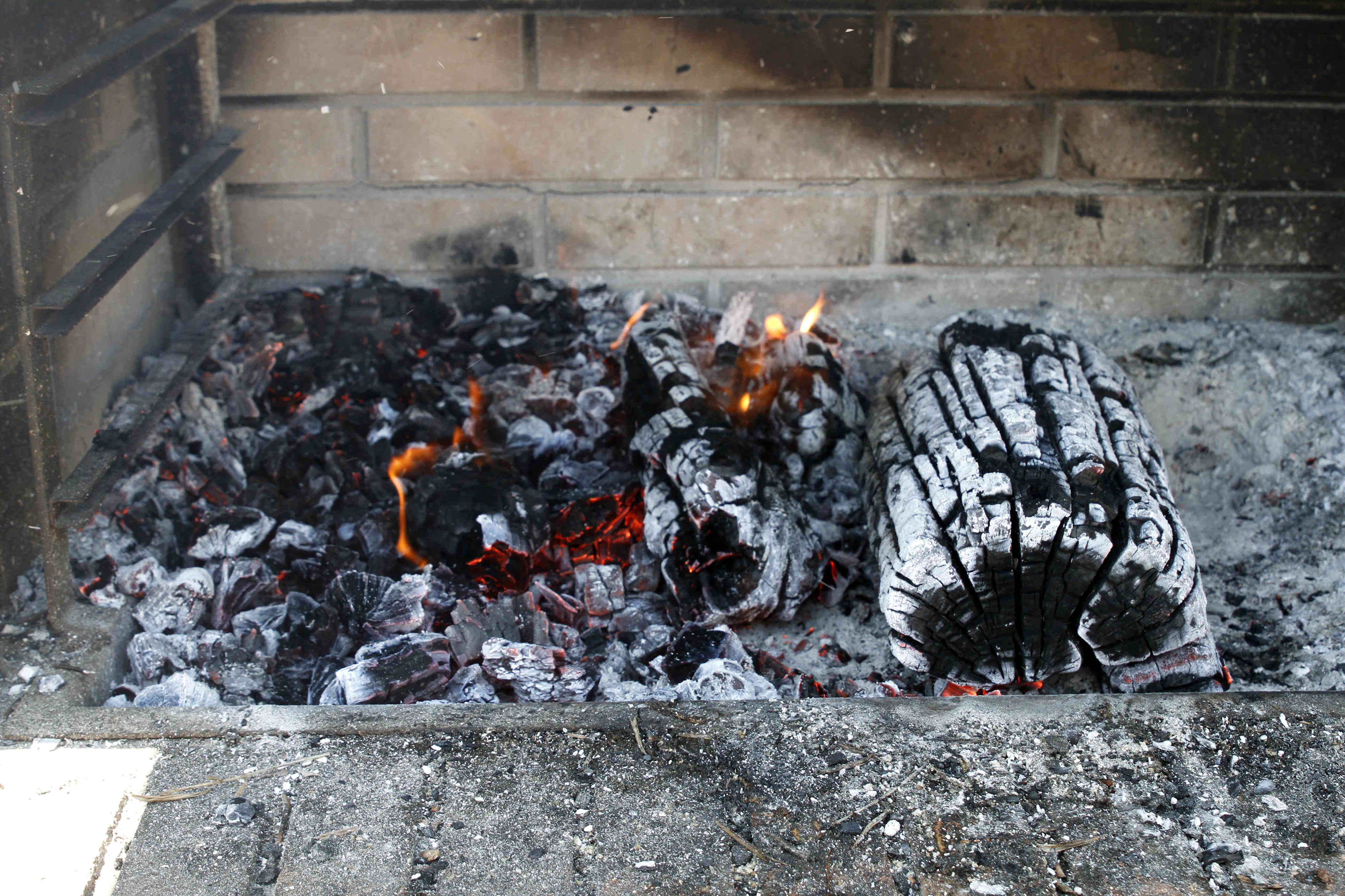 We asked gardeners if you can use fireplace ashes in the garden—why ...