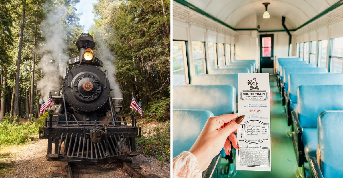 A vintage train journey through California’s redwood country
