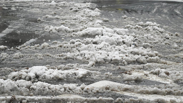 Several Southeast Michigan communities issue snow emergency as winter ...