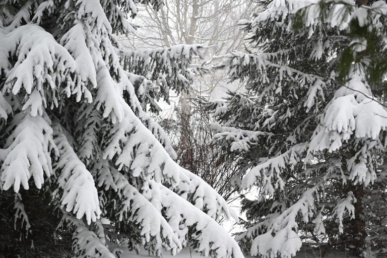 NY courts to close Monday as heavy snow blankets state