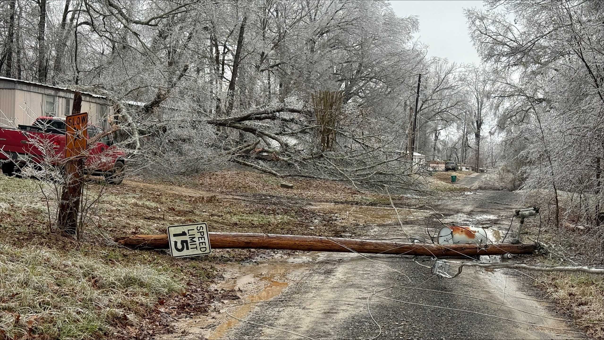Fallen tree splits trailer home in Warren County, trapping mother and baby