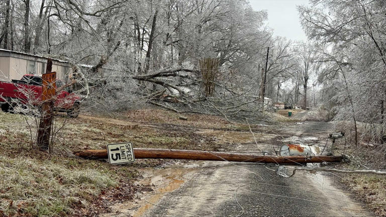 Fallen tree splits trailer home in Warren County, trapping mother and baby
