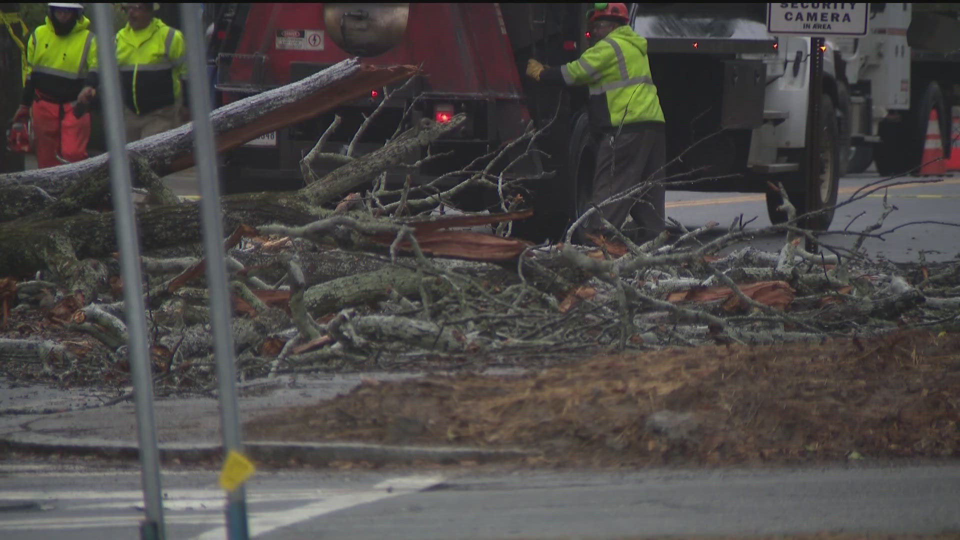 Downed tree in NW Atlanta