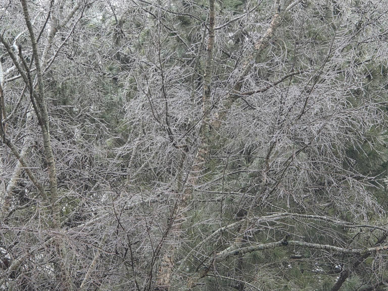 Warming centers are open during north Georgia ice storm