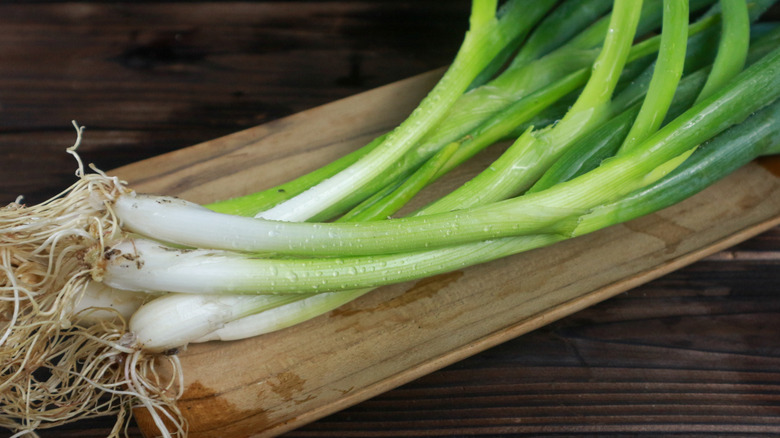 Stop throwing away green onion roots and put them to work for a future meal