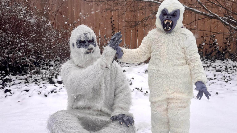 The Boston Yeti is back... and he has a kid!